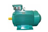 China TBYCPT seriesexplosion-proof variable frequency speed control permanent magnet three-phase synchronous motor TBYCPT355M1-10 TBYCPT355M2-10 TBYCPT355L1-10 TBYCPT355L2-10 TBYCPT400S-10 TBYCPT400M-10 for sale