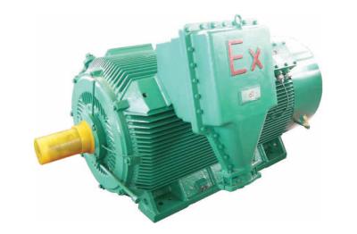 China TBYCPX high-voltage explosion-proof ultra high efficiency variable frequency speed regulationthree-phase permanent magnet synchronous motor TBYCPX-4001-4 TBYCPX-4002-4 TBYCPX-4003-4 TBYCPX-4004-4 TBYC for sale