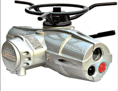 China RAGA  RAⅢ range electric actuator RAIII11ARG4R RAIII11A/RG5R RAIII13ARG4 RAIII11ARG5 RAIII14ARG5 RAIII13ARG4 RAIII14ARG5 RAIII15ARG5 RAIII16ATG5 RAIII14ARG6 RAIII14ARG7 RAIII30ARG7 RAIII7ARG4R for sale