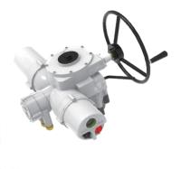 China RAGA RA/RQ/RQM Intelligent electric actuator RL/RLM10 RL/RLM20 RL/RLM30 RL/RLM40 RL/RLM50 RL/RLM60 RL/RLM80 RL/RLM100 RL/RLM150 RL/RLM200 RL/RLM250 RLML10 RLML20 RQIII003-14 RQM03-06 for sale