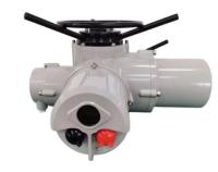 China YX YANGXIUDIANLI Direct stroke electric actuator for flow control valve F-DZW10-A00-L12-ZY F-2SA3 F-2SA9021-BUS2-L12 F-DZW15-T-A00 for sale