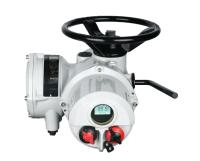 China YX YANGXIUDIANLI 2SQ8 series CT4 explosion-proof adjustable electric actuator F-DZW45-A00-ZY F-DQW120-ZY F-DZW-FT-ZY DZW250-A00-T-ZY F-DZW500-A00-ZY DZW60 F-DZW180-A00-24-ZY F-DQB10-ZY F-DQB30-A00-ZY for sale