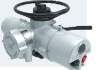 China RAGA RA/RQ/RQM Intelligent electric actuator RAIII40AF25B RAIIIRL/RLM10 RL/RLM20 RL/RLM30 RL/RLM40 RL/RLM50 RL/RLM60 RL/RLM80 RL/RLM100 RL/RLM150 RL/RLM200 RL/RLM250 RLML10 RLML20 RQIII003-14 RQM03-06 for sale