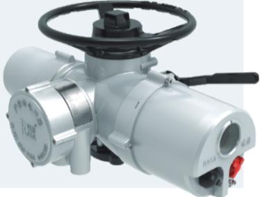 China RAGA RA/RQ/RQM Intelligent electric actuator RAIII40AF25B RAIIIRL/RLM10 RL/RLM20 RL/RLM30 RL/RLM40 RL/RLM50 RL/RLM60 RL/RLM80 RL/RLM100 RL/RLM150 RL/RLM200 RL/RLM250 RLML10 RLML20 RQIII003-14 RQM03-06 for sale