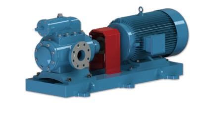 China RSP three screw pump HSNH20R36N1ZMT1  HSNF20R36N1ZMT1 HSNS20R36N1ZMT1 HSNK20R36N1ZMT1 HSND20R36N1ZMT1  HSNH40R36N1ZMT1  HSNF40R36N1ZMT1 HSNS40R36N1ZMT1 HSNK40R36N1ZMT1 HSND40R36N1ZMT1 HSNH80R36N1ZMT1 for sale