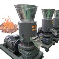 China 300kg/H Wood Pellet Mill Machine with 22kw Power for Biomass Fuel Production - CE Certified for sale