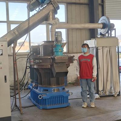 China 1-3 TPH Ring Die Biomass Pellet Mill for Wood Chips Eucalyptus Pine with 380V Power and 4-12mm Pellet Size for sale