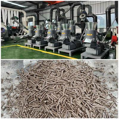 China ZHONGDEBAO EWPM Wood Pellet Machine 380V with 80-800kg/h Capacity and CE/SGS Certification for sale