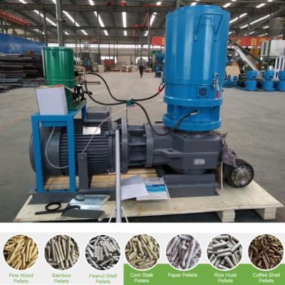 China Alloy Steel Pellet Mill Machine 100-800kg/h Capacity for 6mm 8mm 10mm 12mm Wood & Feed Pellets for sale