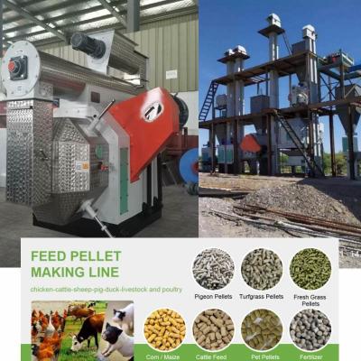 China Complete Pellet Mill Production Line 1-30 Tons/Hour Capacity with 380V Power for Animal Feed & Biomass Fuel for sale