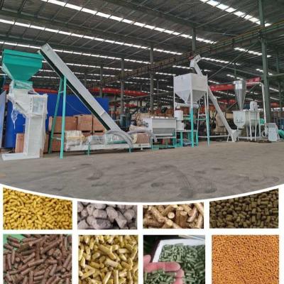 China 1-2 T/H Feed Pellet Production Line for Chicken Cattle Rabbit Poultry Feed for sale