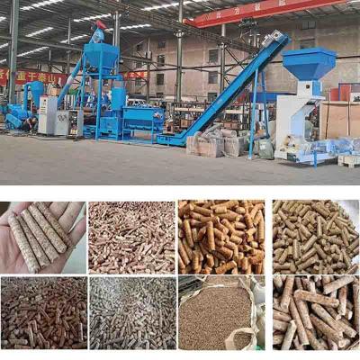 China 600-800kg/H Wood Pellet Production Line Flat Die Biomass Pellet Making Machine 6-12mm for sale