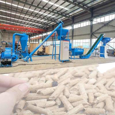 China Biomass Pellet Production Line 400-600kg/h Capacity for 6mm Wood Pellet Manufacturing for sale