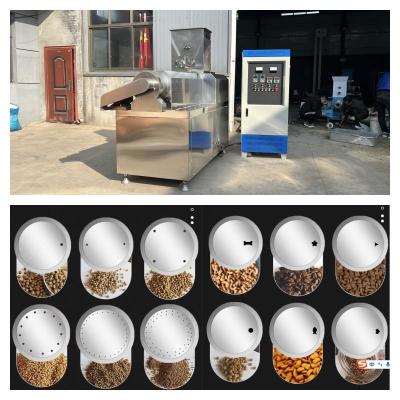 China Stainless Steel Dry Type Fish Feed Extruder 55kw with 500kg/h Capacity for Pet Food Production Line for sale