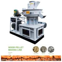 China 450 Model Vertical Ring Die Wood Pellet Mill Machine 55-160kW Power 0.8-4t/h Capacity Biomass Processing for sale