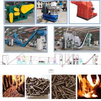 China 10TPH Biomass Pellet Production Line for Wood Chips Eucalyptus Pine Birch 6-12mm Pellets for sale