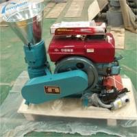 China Adjustable Length Feed Pellet Mill Machine 60-80 kg/h 8 HP Diesel Poultry Feed for sale