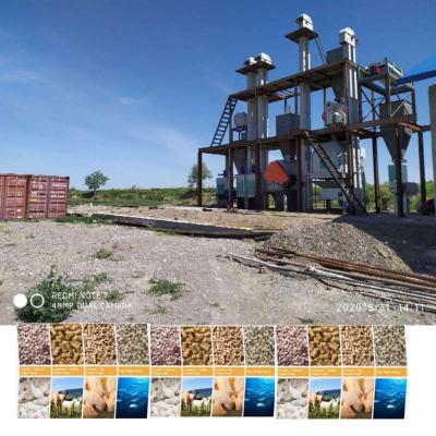 China 1-12mm Animal Feed Pellet Production Line 0.5-30TPH Livestock Cattle Feed Machine for sale