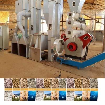 China Flat Ring Die Pellet Mill Animal Feed Pelletizing Line for and Engineer Guide Installation for sale