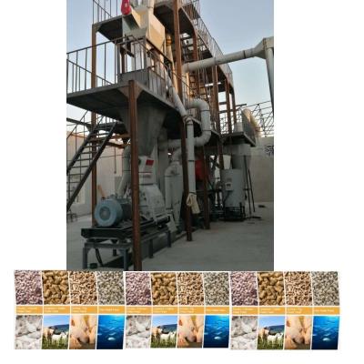 China 1-12mm Feed Pellet Size Animal Feed Pellet Production Line 0.5-30t/h for sale