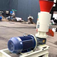 China Professional Pellet Mill Machine for Large-scale Biomass Fuel Production Feed Pellet Machine for sale