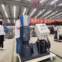 China Wood Pellet Machine 250-400kg/h 22KW 380V High Efficiency Pelletizer for Biomass Fuel for sale