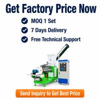 China Commercial Floating Fish Feed Pellet Machine DGP100 Extruder For Shrimp Feed Production With High Output Design for sale