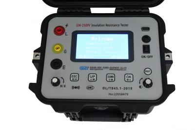 China Adjustable High Voltage Digital Megohm Meter 250V to 2.5kV 5TΩ Max Range for sale