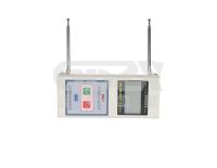 China Digital Display Insulator Tester 5000V 0-1999MΩ for Transmission Line Field Test for sale