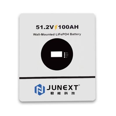China 48V 51.2V Wall Mounted Lithium Battery 100Ah 5.12Kwh Home Solar  Lifepo4 Battery Storage for sale