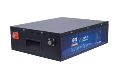 China 51.2V 50Ah LiFePO4 Battery for Low-Speed Electric Vehicles - 5.12KWh Capacity, 460×333×125mm Dimensions for sale