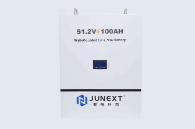 China LiFePo4 Wall Mounted Battery EMS 2.5kw 48V 51.2V 100ah Solar Battery For Home for sale