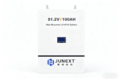 China Wall Mounted 51.2V 48V 100Ah 5Kwh Lifepo4 Battery Home Solar Energy Storage System 5kwh Lithium Ion Battery Deep Cycles Hot Sale for sale