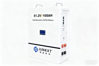China LiFePO4 5kwh 10kwh 15kwh 100ah 200Ah Deep Cycle Powerwall Mounted 48v 51.2v Lithium Solar Energy Storage System Battery for sale
