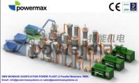 China Biomass gasification power plant for sale