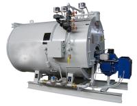 China electric wood 4 ton gas fired steam hot water boiler for sale