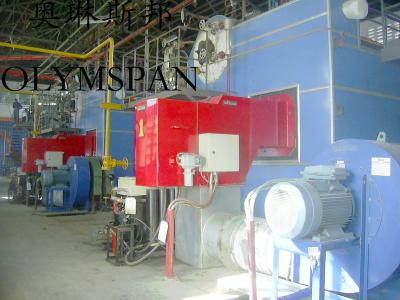 China Low Pressure Horizontal Heating Thermal Gas Oil Fired Boiler , High Temperature for sale