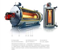 China Horizontal Gas Fired Electric Thermal Oil Boiler 300kw For Wood , Less Water for sale