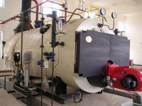 China 0.5 Ton Lateral - Cut Tube Three Pass Oil, Dual Fuel Gas Fired Steam Boilers for sale
