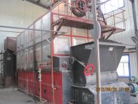China Dual Rear Drum Vertical Water Spiral Coal Fired Thermal Oil Boiler for sale