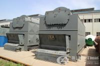 China DZL Packaged Coal Fired Boiler for sale