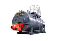 China WNS Series 6 Ton Gas Fired Industrial Steam Boiler Approved ISO9001 for sale