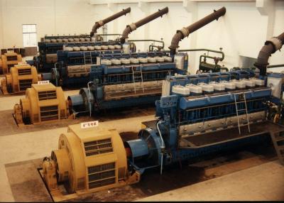China 2-50MW HFO fired power plant for sale