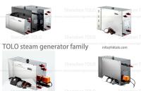 China 3 Phase Wet household steam generator auto flushing for steam bath for sale