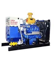 China Natural Gas/ Biogas Generator Set for sale