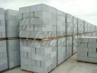 China Cement AAC Block Production Line Fully Automatic Brick Plant 50000m3 for sale