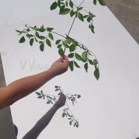 China BA Finished Super Mirror Stainless Steel Sheet SUS 430 Cold Rolled 1500mm for sale