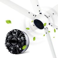 China Efficiency IE 1 12ft 10ft 16ft 14ft 1500W 1100W 750W BLDC Industrial HVLS Ceiling Fan Motor for sale