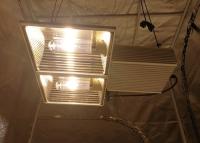 China 630W Dual CMH Grow Light Full Spectrum 580µmol/s 164ft Dimmable Digital Ballast for sale