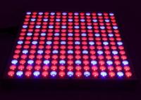 China 38W 0.5m2/0.3m Hydroponics Led Grow Lights 45W Flat Panel Indoor Plants for sale